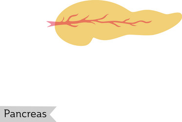 Cartoon sick pancreas body organ character Vector Image