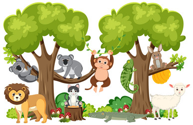 Harmonious coexistence of wild animals in forest Vector Image