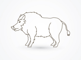 Wild Hog Vector Images (over 4,800)