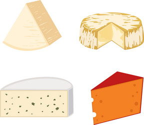 Cheese set Royalty Free Vector Image - VectorStock