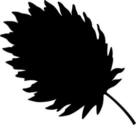Nettle Leaf Vector Images (over 440)