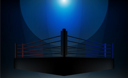 Boxing Arena Bright Vector Images (over 200)