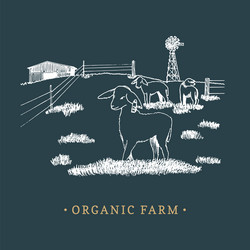Organic farm sketched drawing Royalty Free Vector Image