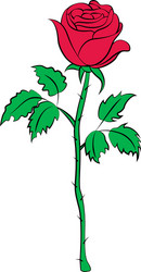 Two red roses Royalty Free Vector Image - VectorStock