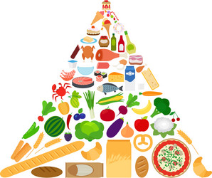 Healthy food plan pyramid infographics Royalty Free Vector