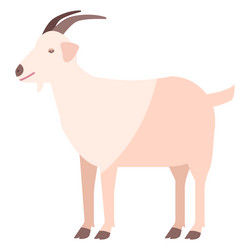 Goat hoof tail horn flat Royalty Free Vector Image