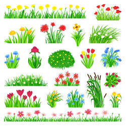 Spring daisies background fresh green grass Vector Image