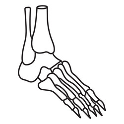 Foot Profile Vector Images (over 780)