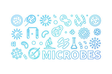 Microbes bacteria and viruses healthcare poster Vector Image