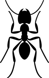 Polyergus amazon ants Royalty Free Vector Image