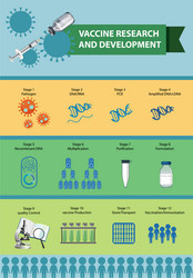 Vaccine research and development infographic Vector Image