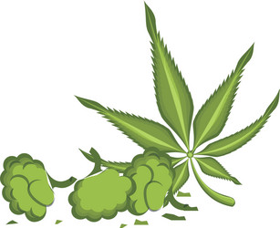 Cannabis ruderalis leaf sketch marijuana Vector Image