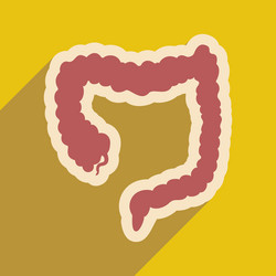 Human organ icon in flat style duodenum Royalty Free Vector