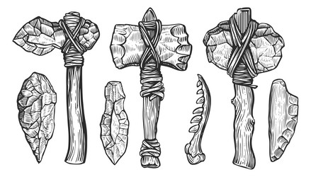 Prehistoric labor tools and equipment of a Vector Image