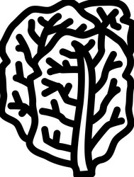 Kale Outline Vector Images (over 290)