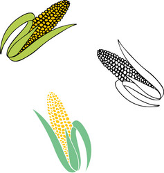 Corn Maze Vector Images (over 200)