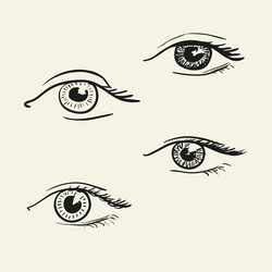 Cartoon character female eyes Royalty Free Vector Image