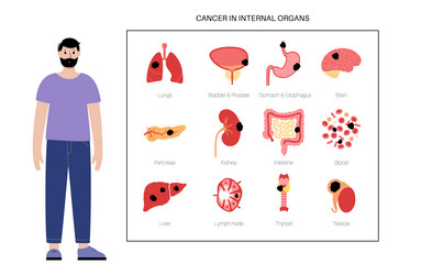 Testicle Cartoon Testis Vector Images (48)