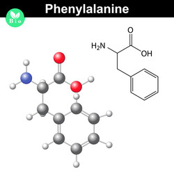 Alanine Amino Acid Vector Images (over 150)