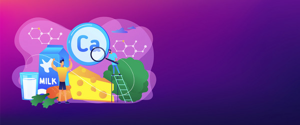 Uses of calcium concept Royalty Free Vector Image