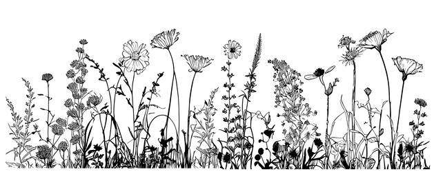 Wild flowers border sketch hand drawn Royalty Free Vector