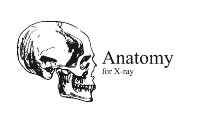 Hand drawn anatomy on white and black backgrounds Vector Image