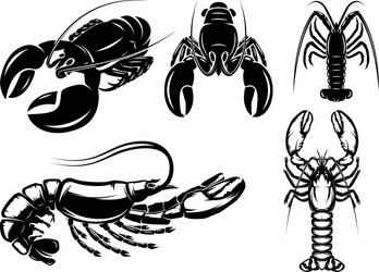 Crawfish Vector Images (over 1,800)