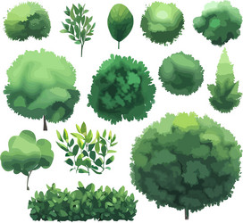 Fantastical trees bushes shrubs top view Vector Image