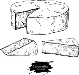 Cheese Drawing Camembert Vector Images (over 310)