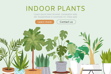 Indoor Background Vector Images (over 98,000)