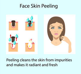 Cleansing skin process Royalty Free Vector Image