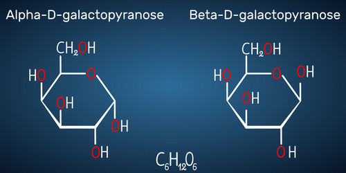 Galactose alpha-d-galactofuranose beta Royalty Free Vector
