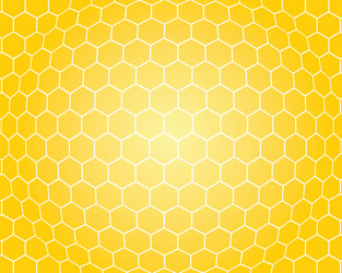 Yellow honeycomb background honeycomb pattern Vector Image