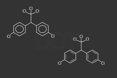 Ddt molecular skeletal chemical formula Royalty Free Vector