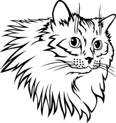 Furry Vector Images (over 47,000)