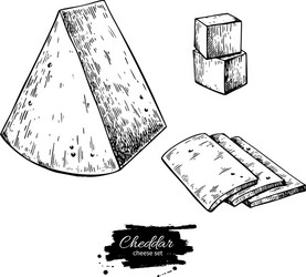 Emmental cheese drawing hand drawn food sketch Vector Image