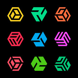 Hexagon shaped logo design element Royalty Free Vector Image