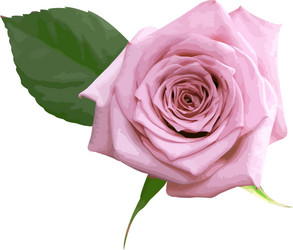 Rose Vector Images (over 270,000)