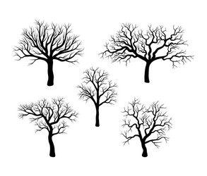 Tree Branches Without Leaves Pattern Vector Images (over 130)
