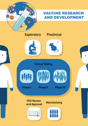 Vaccine research and development infographic Vector Image