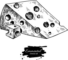 Emmental cheese drawing hand drawn food sketch Vector Image
