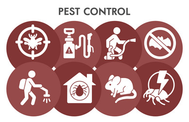 Pest Control Infographics Vector Images (over 450)