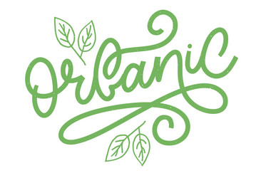 Organic slogan brush lettering hand drawn word Vector Image