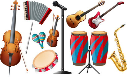 Set stringed musical instruments collection Vector Image