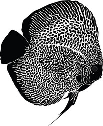 Discus Vector Images (over 1,000)