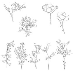 Spring flowers set outline hand drawing Royalty Free Vector