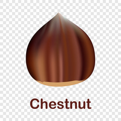 Realistic Chestnut Vector Images (over 300)