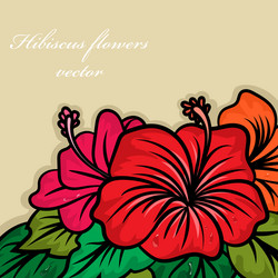 Free Hibiscus Vector Images (over 260)