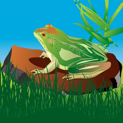 Green Animals Vector Images (over 180,000)
