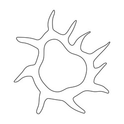 Phytoplankton Algae Plankton Vector Images (over 110)